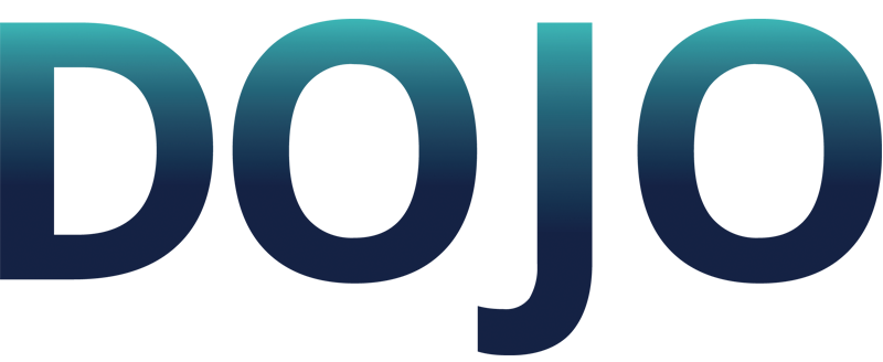 What We Do | The DOJO Group | Digital Marketing Agency in Minneapolis